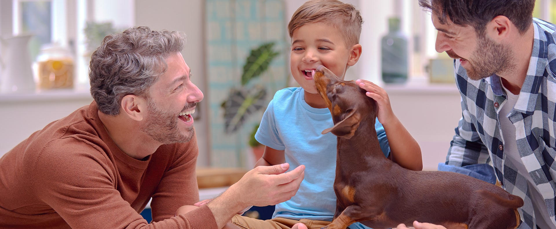 Protection | Riach Financial Ltd